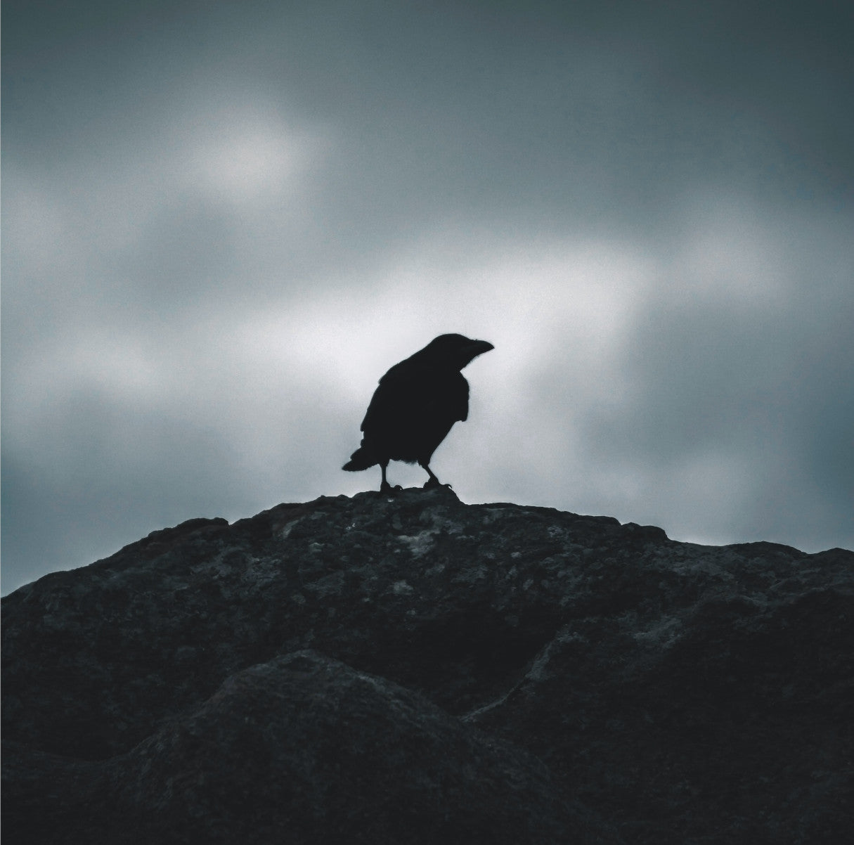 The Wisdom of Odin's Ravens: What Can Hugin and Munin Teach Us Today ...