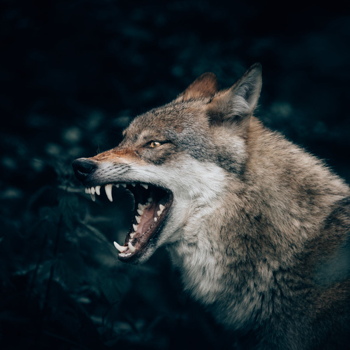 The hunter's way: Interesting hunting techniques that the Vikings used ...